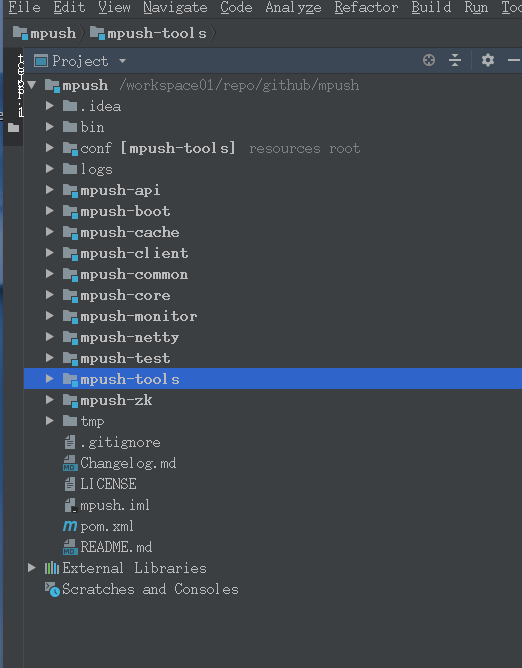 Mpush 搭建开发环境 - 链滴